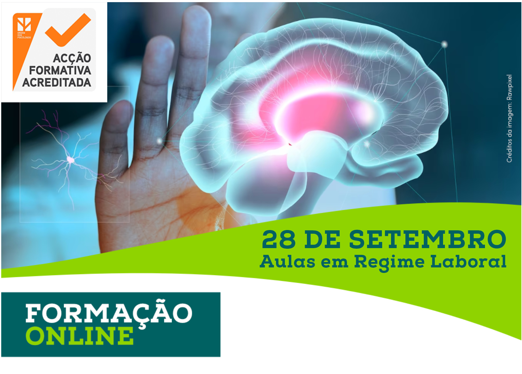 Curso: "Intervenção Profissional na Área das Demências" – 7ªedição ...